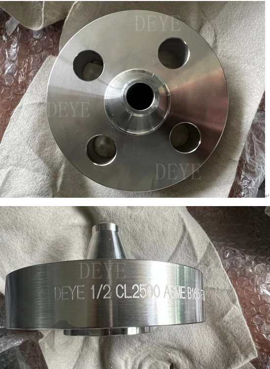 BS DIN Stainless Steel Pipe Flange PN10 PN16 Flat Face Slip On Flange