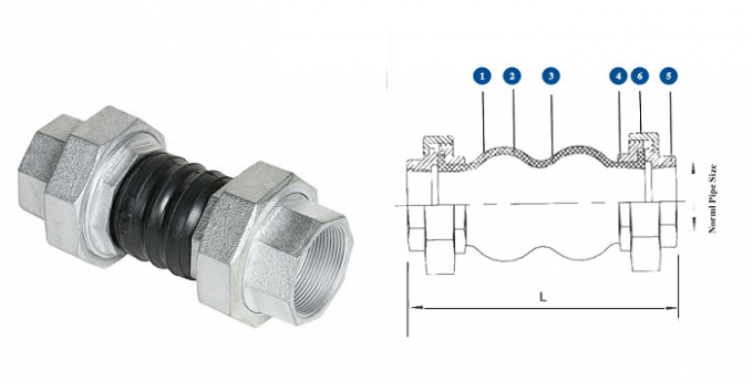 Union Rubber Expansion Joints With SS Fittings